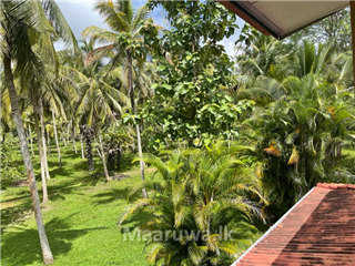 Building for a business - Alawwa, Kurunegala - Sri Lanka's only ...