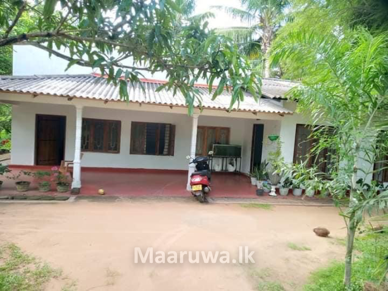 #Kurunegala - #Katupotha - Kurunegala, Kurunegala - Sri Lanka's only ...